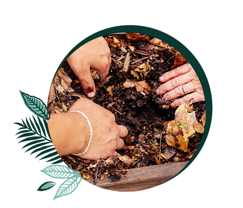 About – Alter Eco Foods